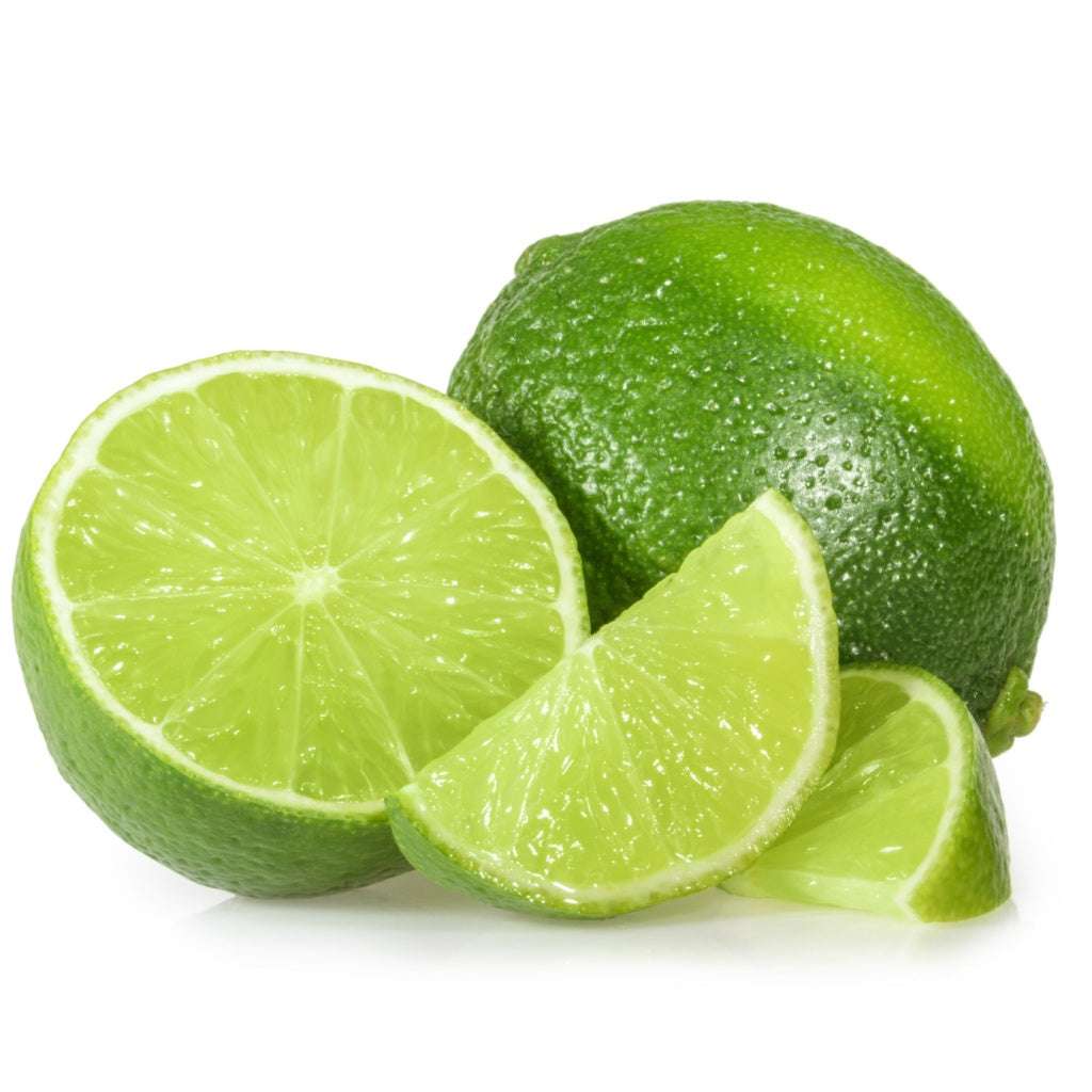 Wholesale 12 pack - Bearss Seedless (Tahitian/Persian) Lime Trees For Sale