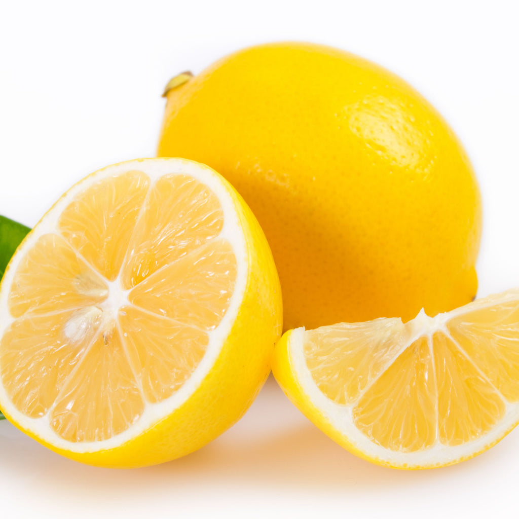 12-pack Improved Meyer Lemon Trees For Sale